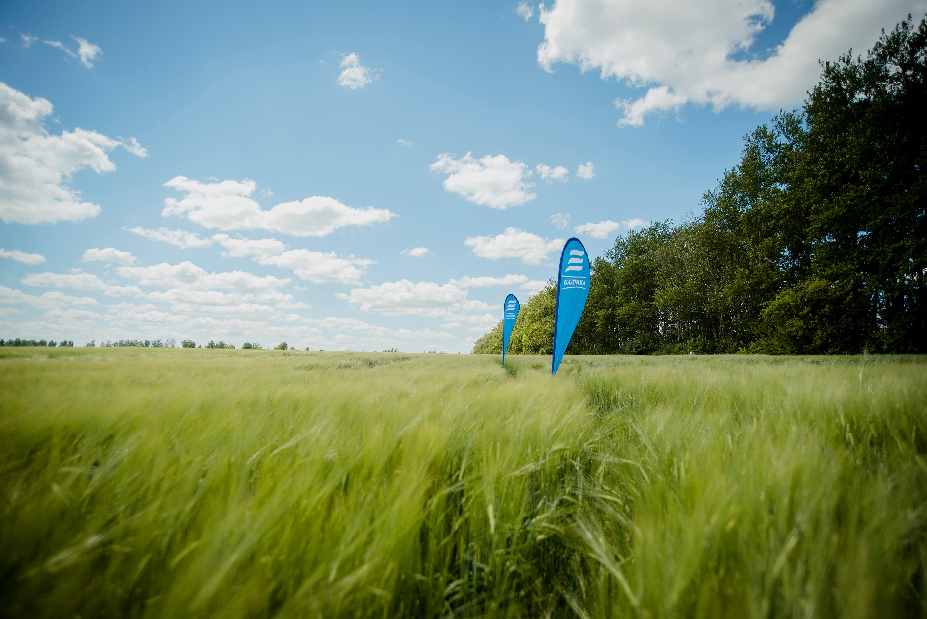 « Официальный сайт OOO «Пивоваренная компания «Балтика»